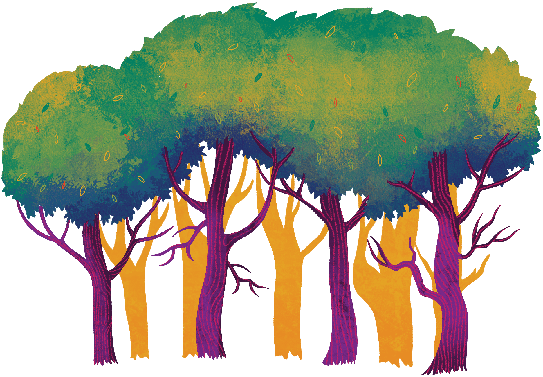 Wooden O 2025 – Union Arts Center